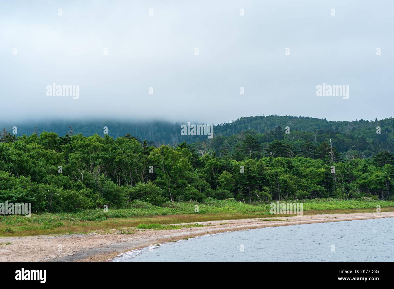 lake shore in a wooded mountainous area in cloudy weather, lake ...