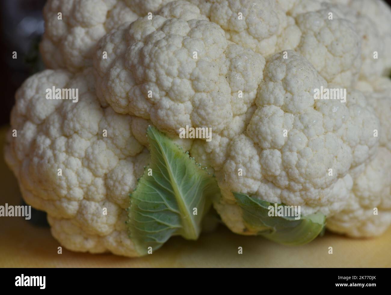 A raw head of cauliflower Stock Photo - Alamy