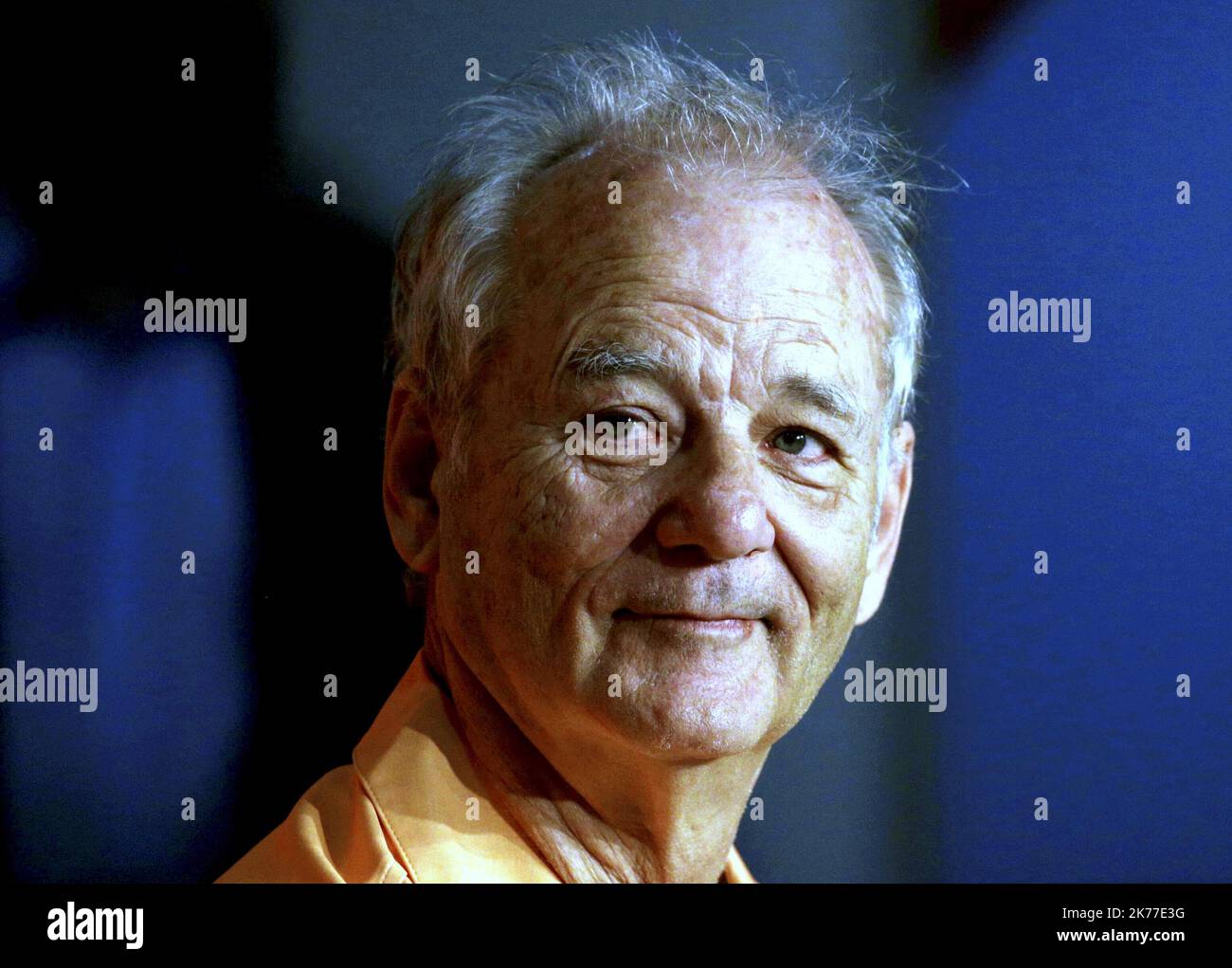 Bill Murray attending the The Dead Don't Die photocall, during the 72nd ...