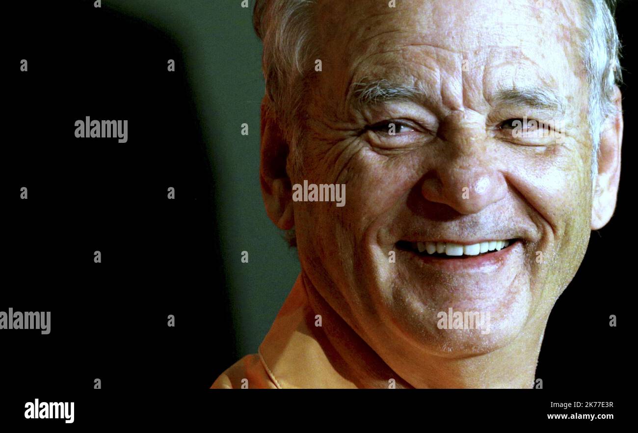 Bill Murray attending the The Dead Don't Die photocall, during the 72nd ...