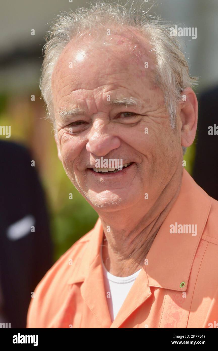 Bill Murray attending the The Dead Don't Die photocall, during the 72nd ...