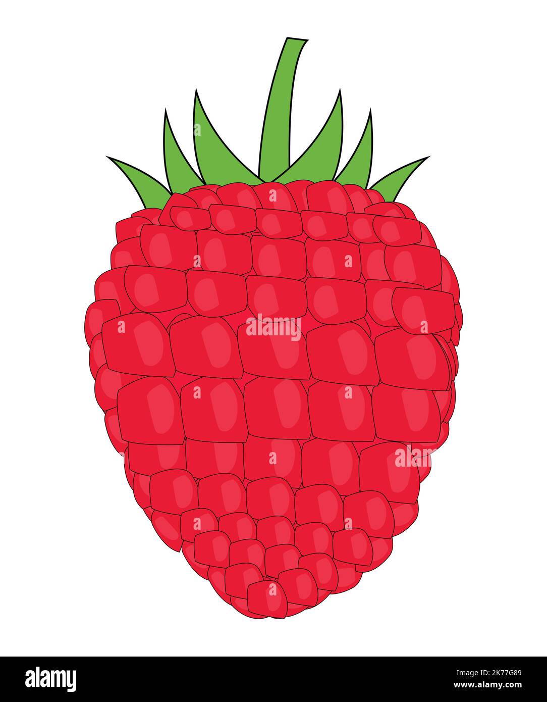 Colorful Raspberry vector design art. Best graphic resources ...