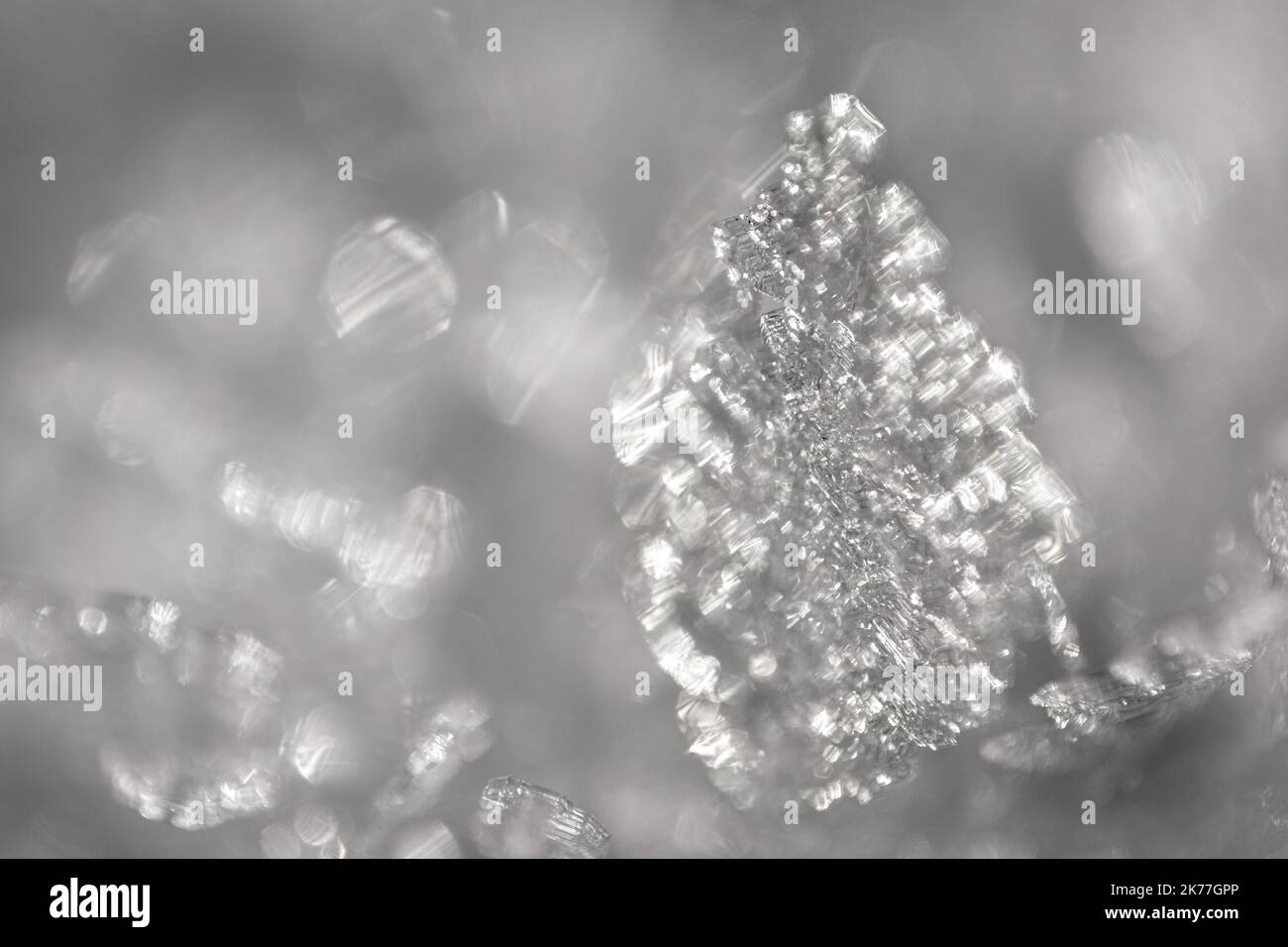 Close up shot of snow crystals illuminated by sunlight. Winter ...