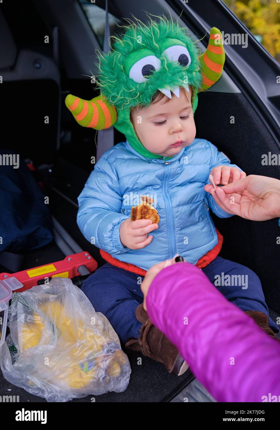 Tailgating baby monster is having some snacks in the back of the car on ...