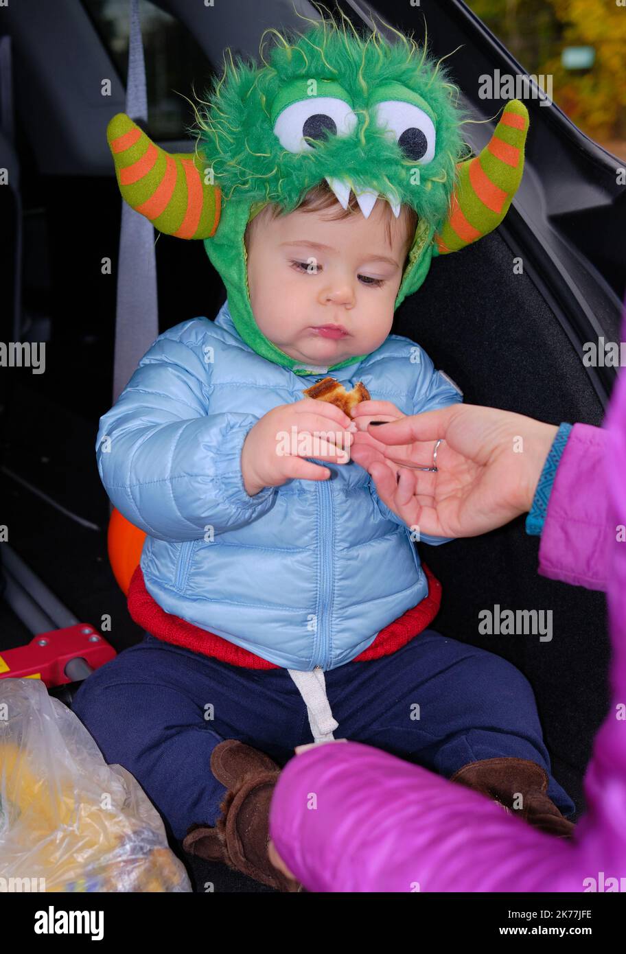 Tailgating baby monster is having some snacks in the back of the car on ...