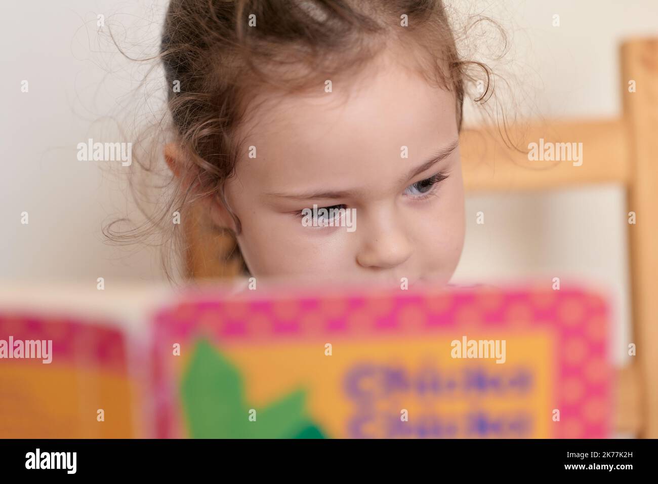 Reading intently hi-res stock photography and images - Alamy