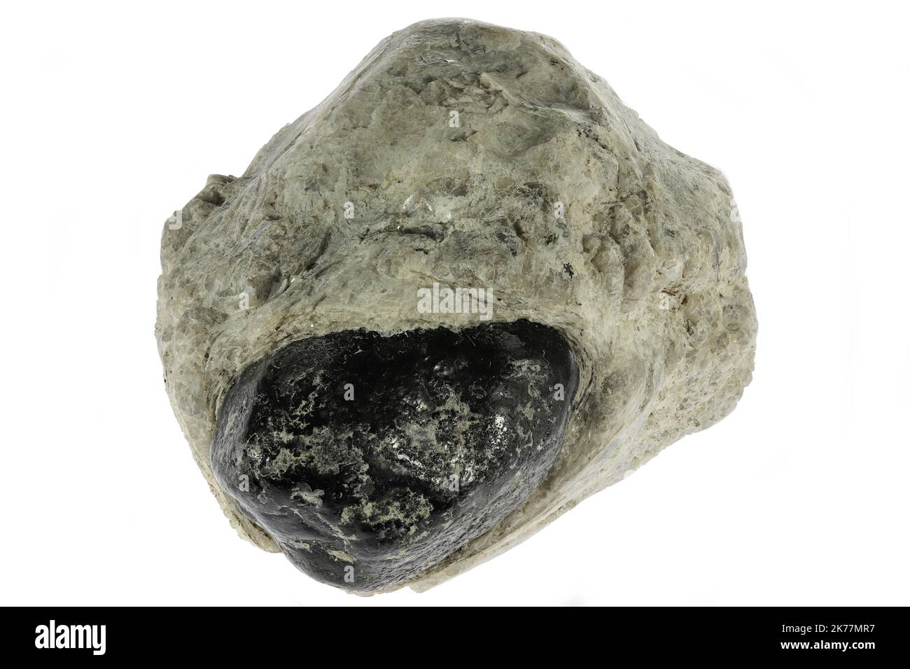 Apache tear (obsidian) from the USA isolated on white background Stock ...