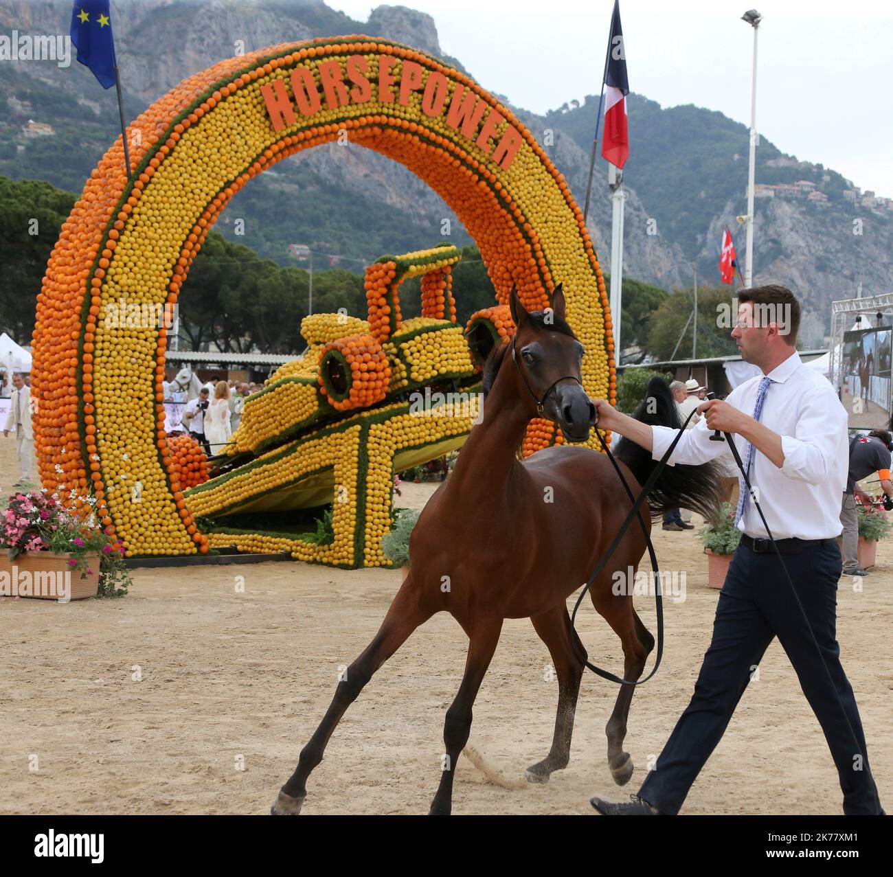 Arabian Horse Shows, 2019 Menton Mediterranean and Arab Countries ...