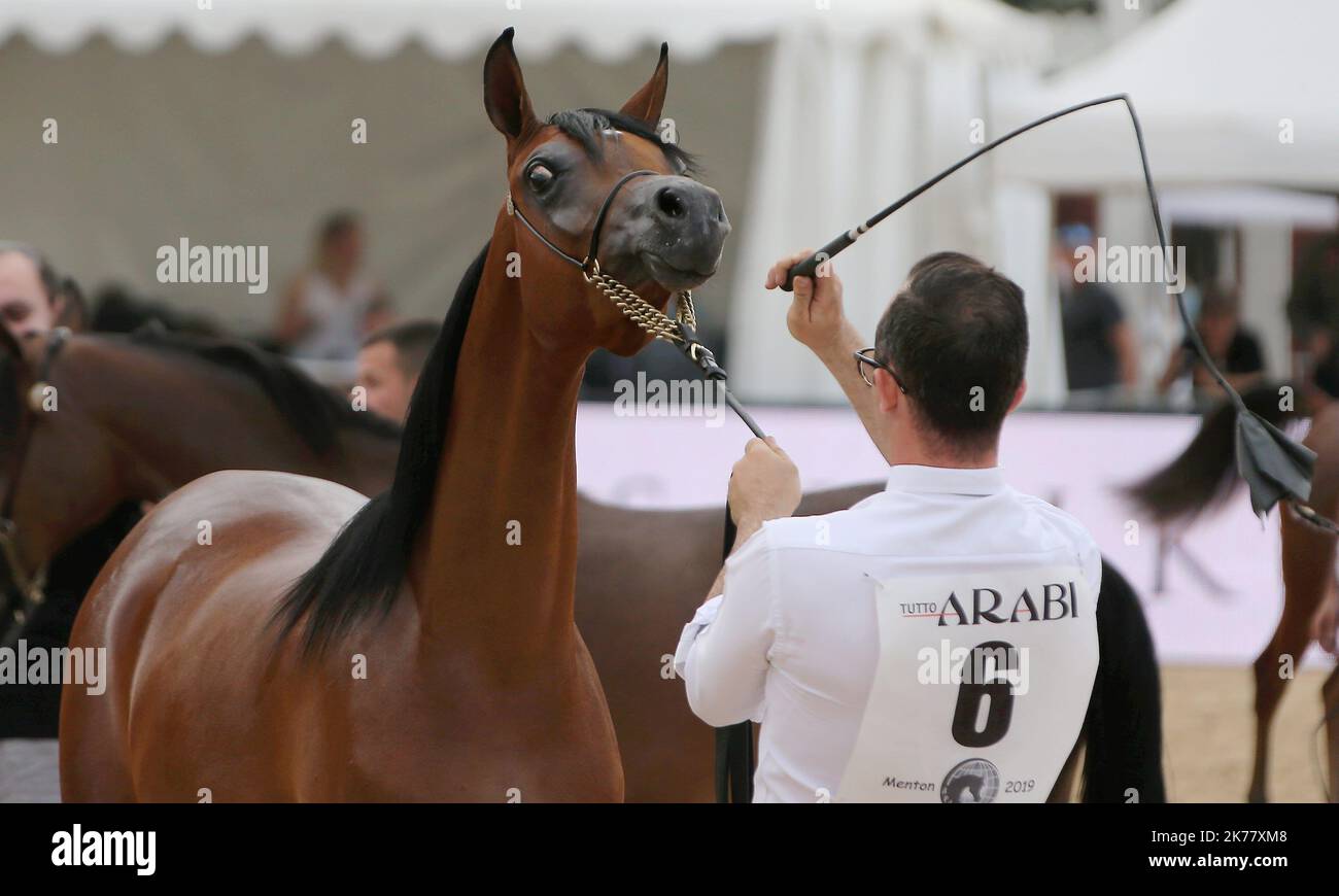 Arabian Horse Shows, 2019 Menton Mediterranean and Arab Countries ...