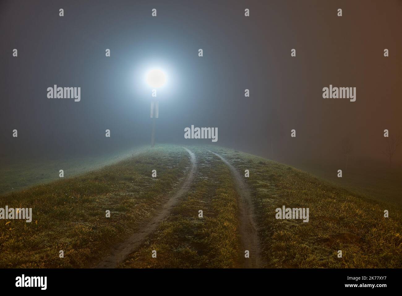 Scary road at night hi-res stock photography and images - Alamy