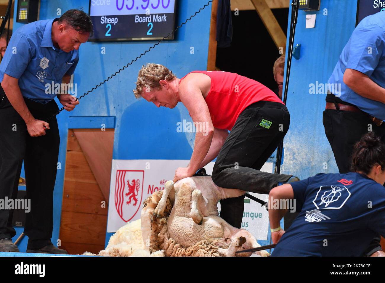 Wales' Richard Jones wins the World Champion title in the blade ...