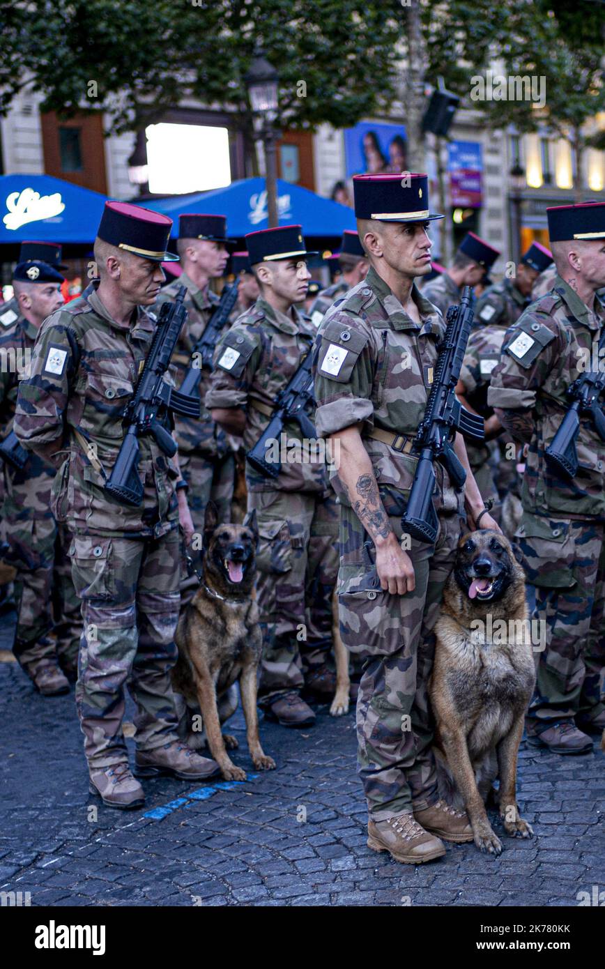 ©Sebastien Muylaert/MAXPPP - Illustration de la brigade canine lors des ...