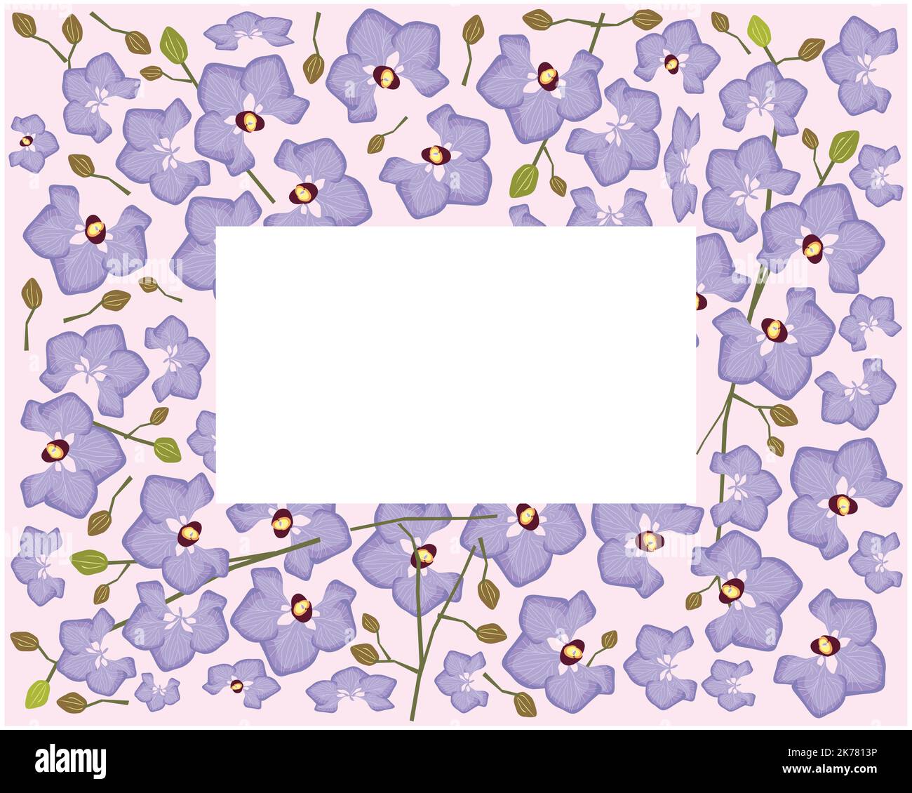 Flower and Plant, Illustration Frame of Beautiful Purple Phalaenopsis ...