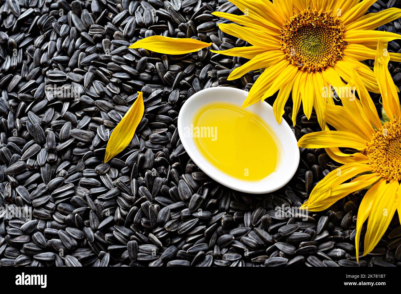 Sunflower flower on the background of ripe black seeds.Vegetable fat ...