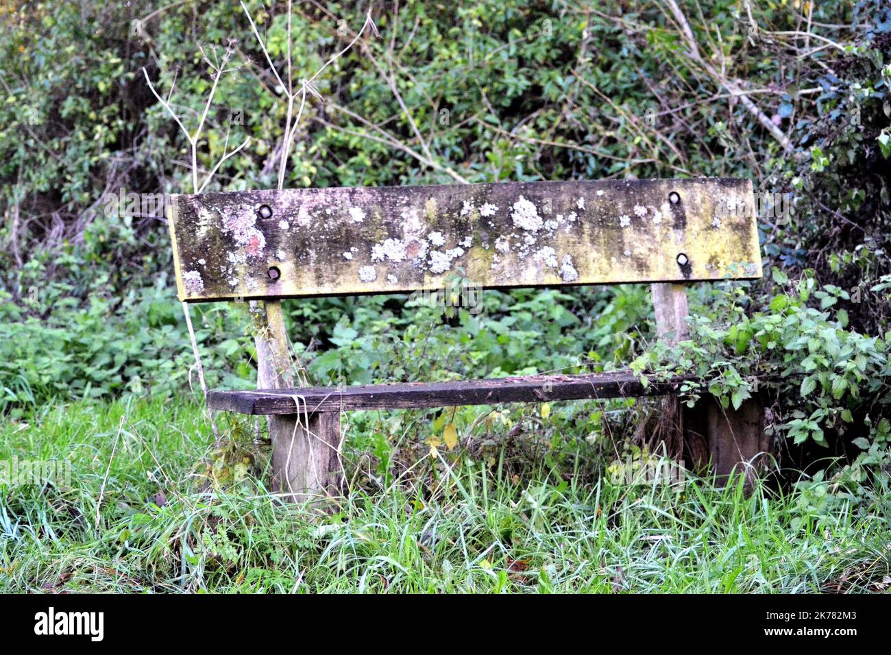 Wooden bench in countryside hi-res stock photography and images - Alamy
