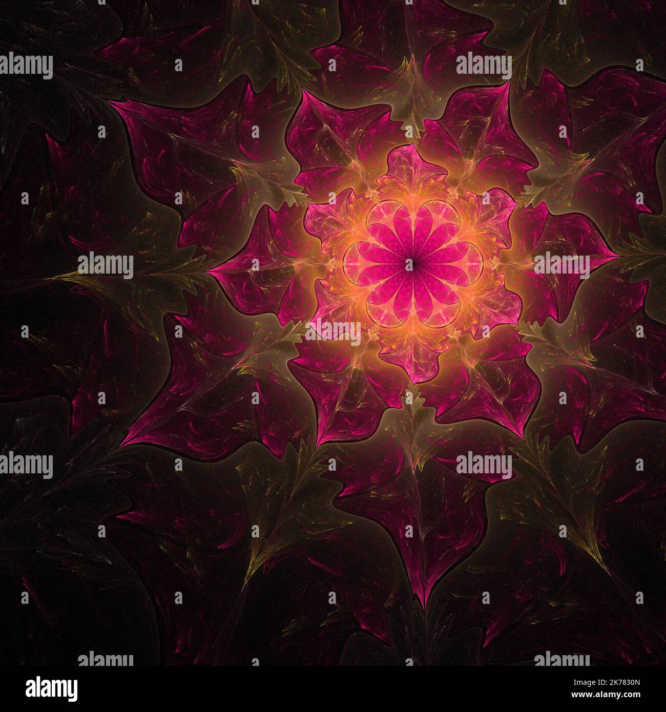 Fractal flower hi-res stock photography and images - Alamy