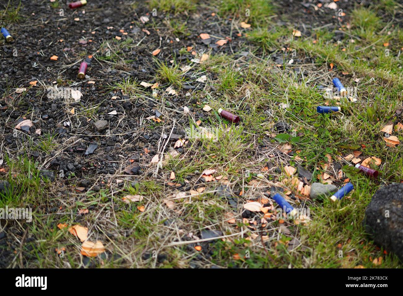 Clay Target Shooting - spent catridges lying on the ground Stock Photo ...