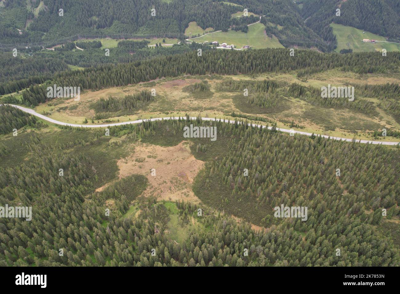 Retention trees hi-res stock photography and images - Alamy