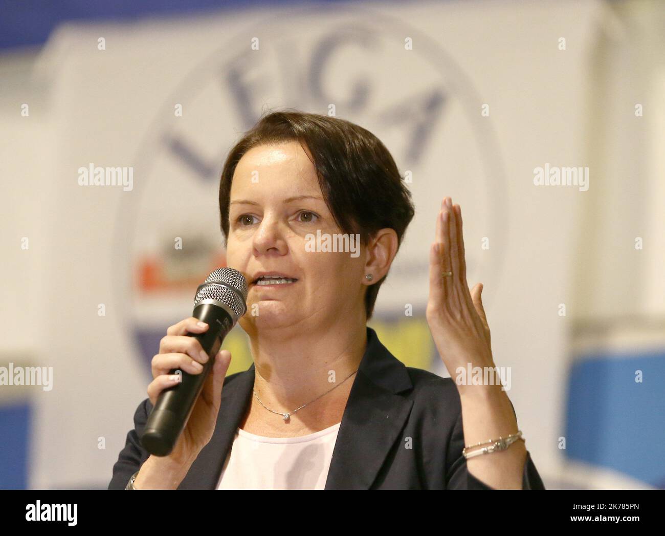 Bizzotto hi-res stock photography and images - Alamy