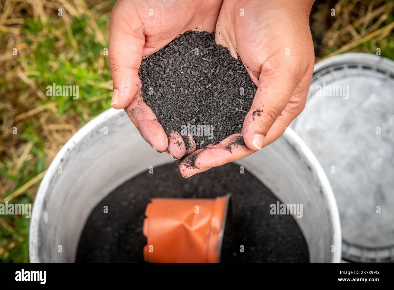 Hands holding Biochar over a bucket Stock Photo - Alamy