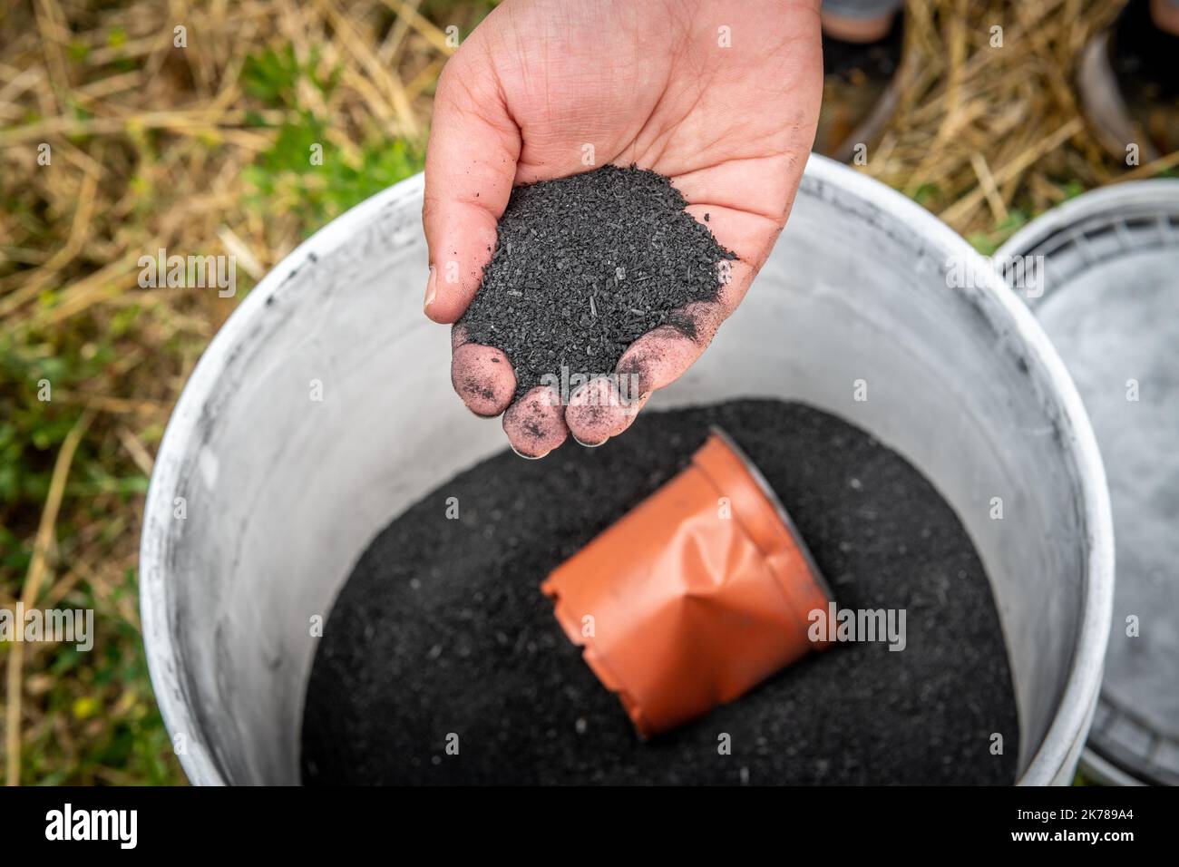 A hand holding Biochar over a bucket Stock Photo - Alamy