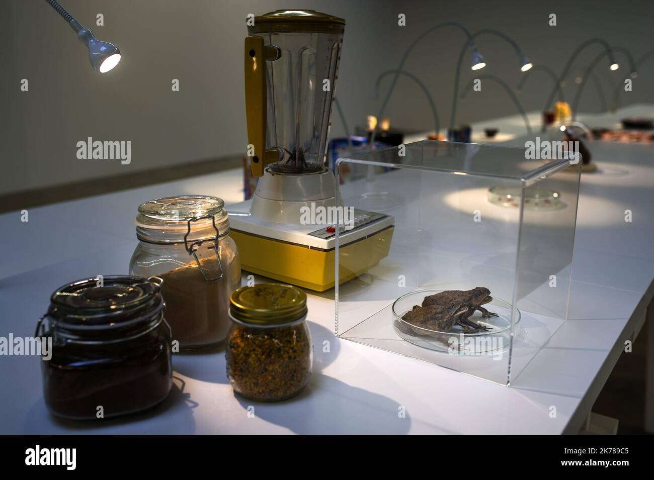 Tables de nourriture hi-res stock photography and images - Alamy