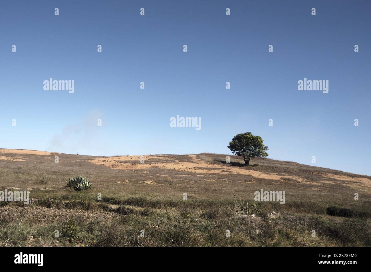 ©Arnaud De Grave / Le Pictorium/MAXPPP - Arnaud De Grave / Le Pictorium ...