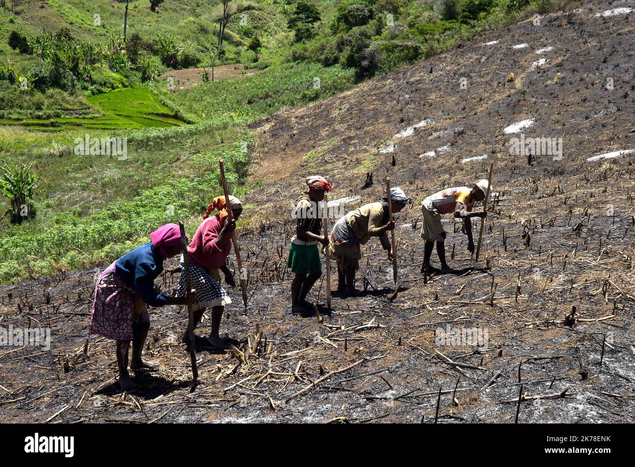 Paysage de rizière madagascar hi-res stock photography and images - Alamy