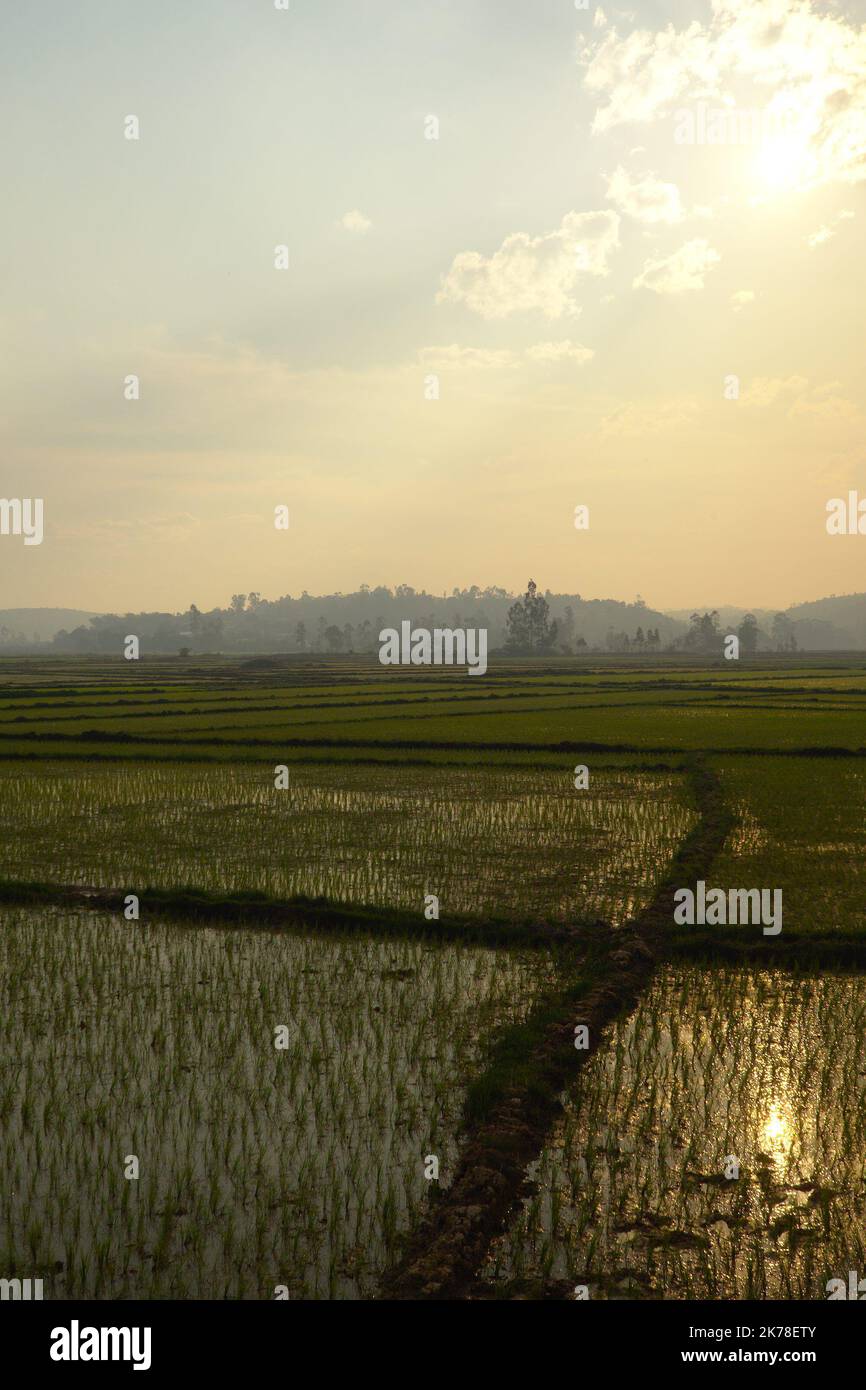 Paysage de rizière madagascar hi-res stock photography and images - Alamy
