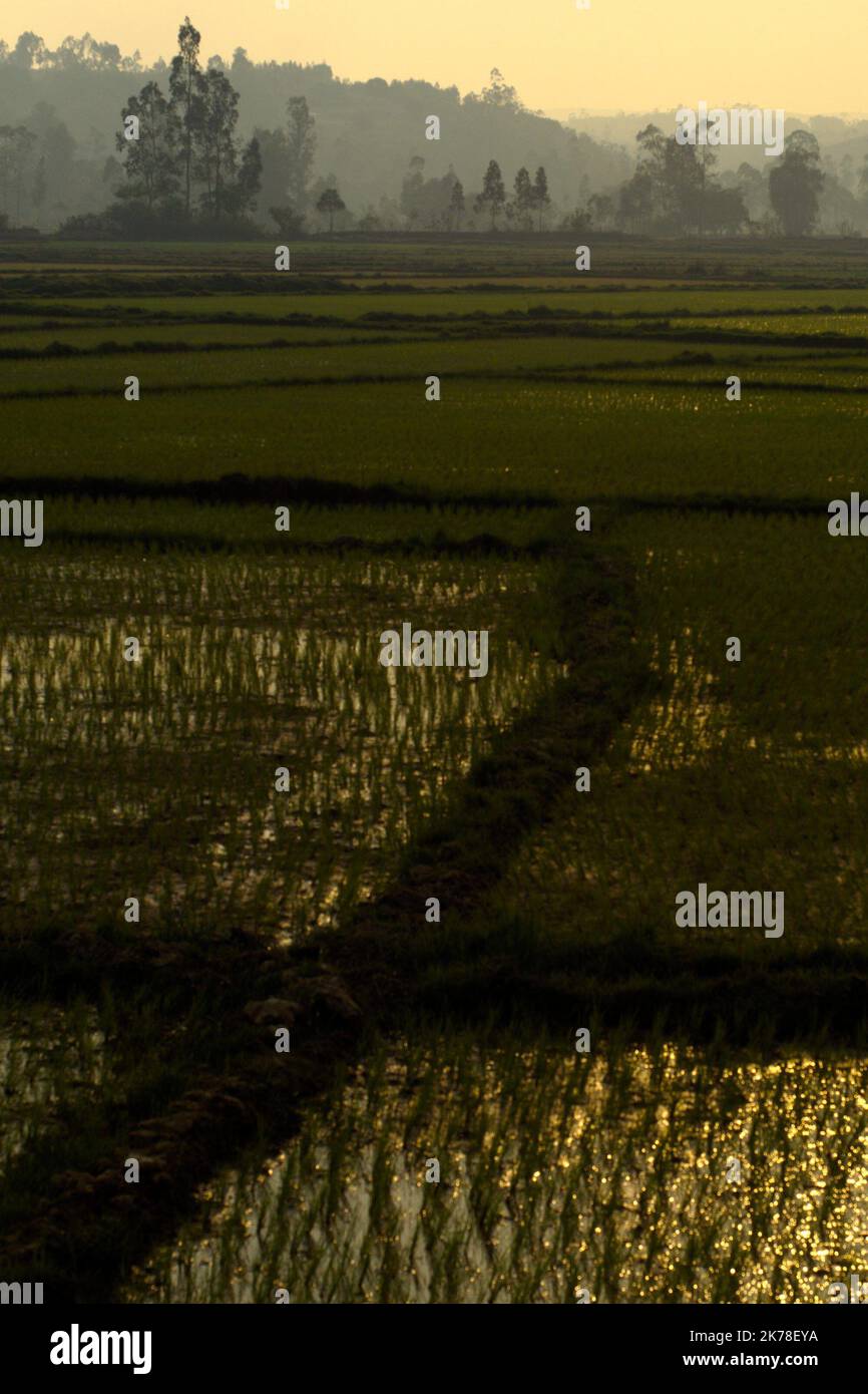 Paysage de rizière madagascar hi-res stock photography and images - Alamy