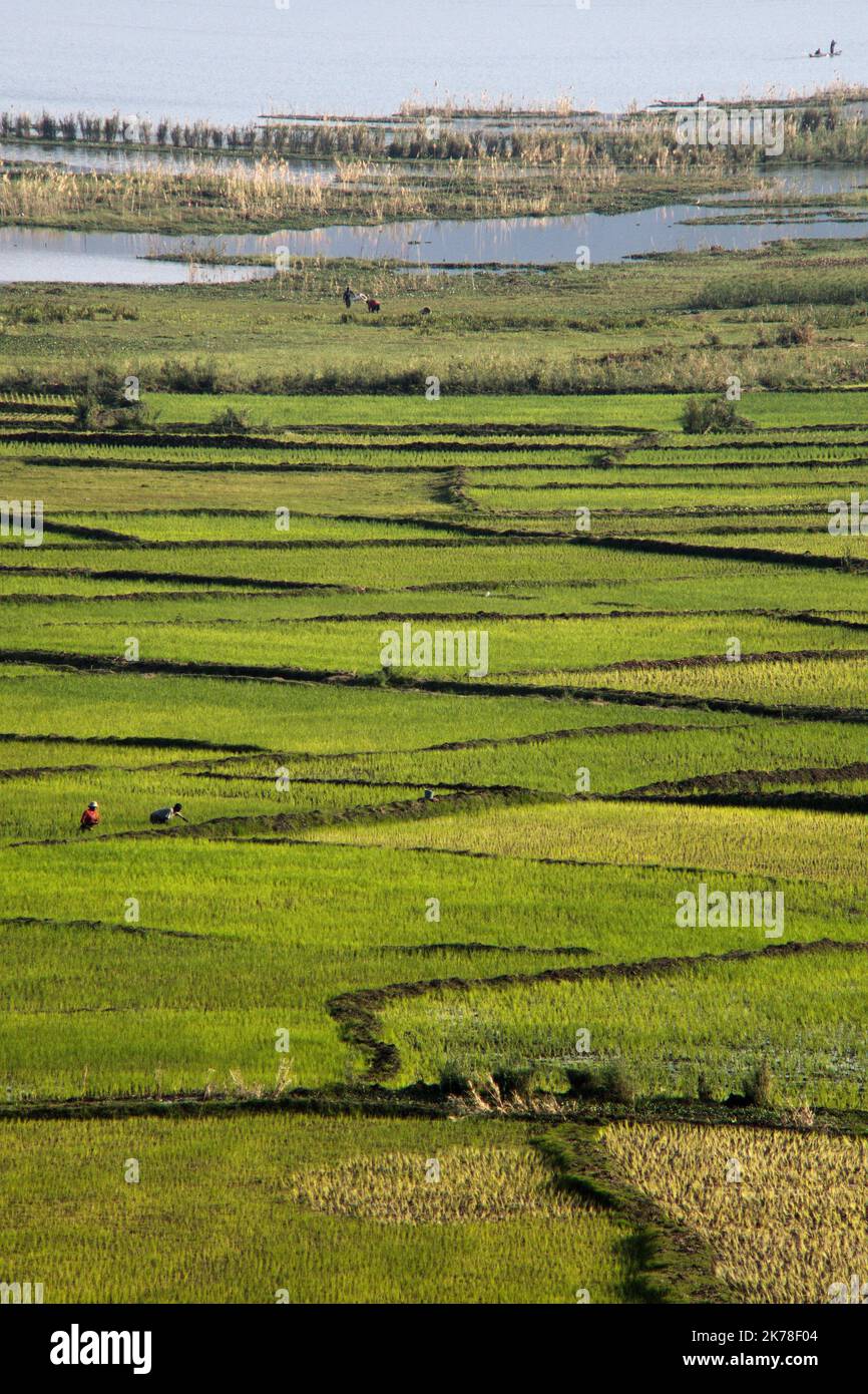 Paysage de rizière madagascar hi-res stock photography and images - Alamy
