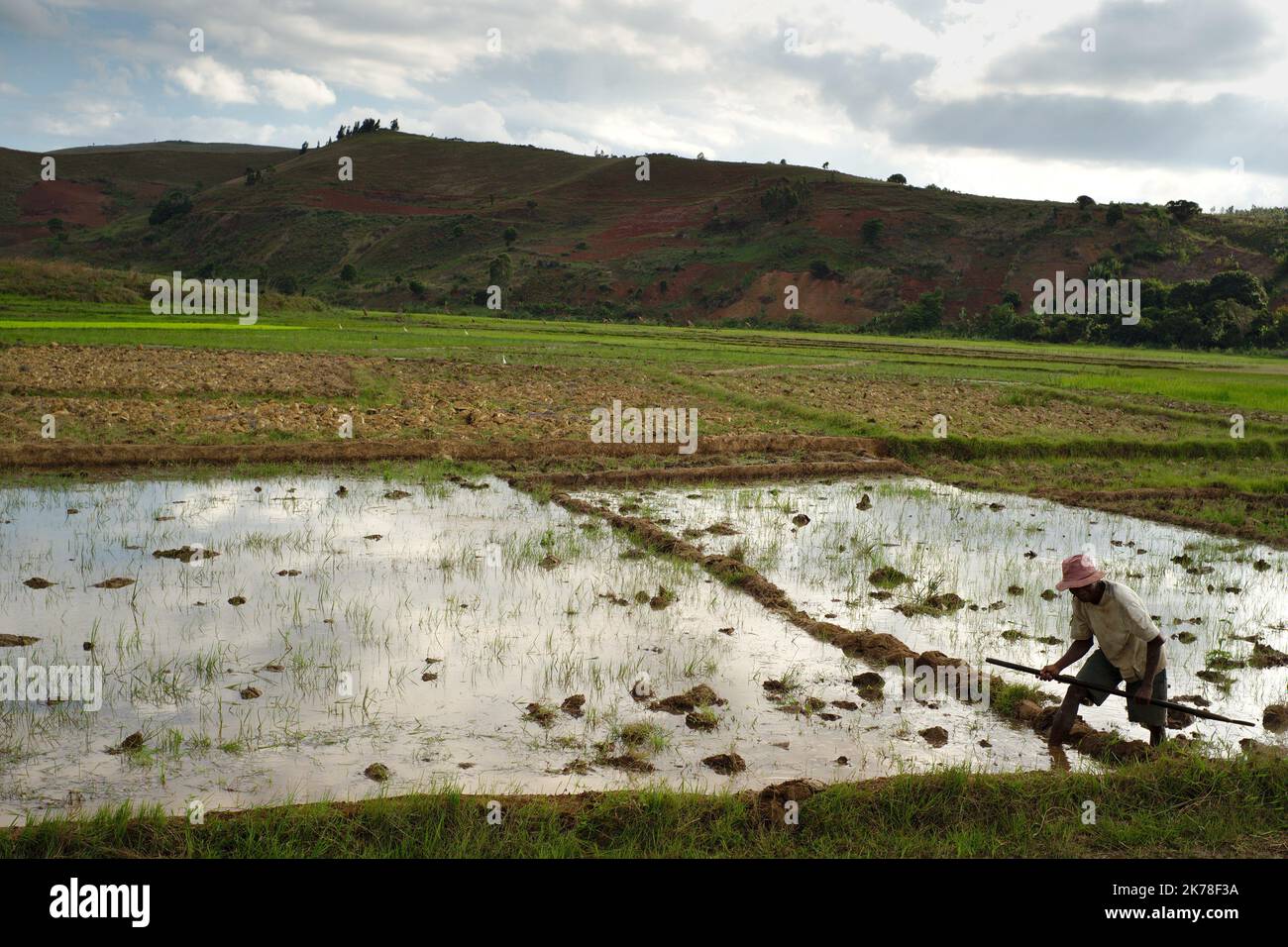 Paysage de rizière madagascar hi-res stock photography and images - Alamy