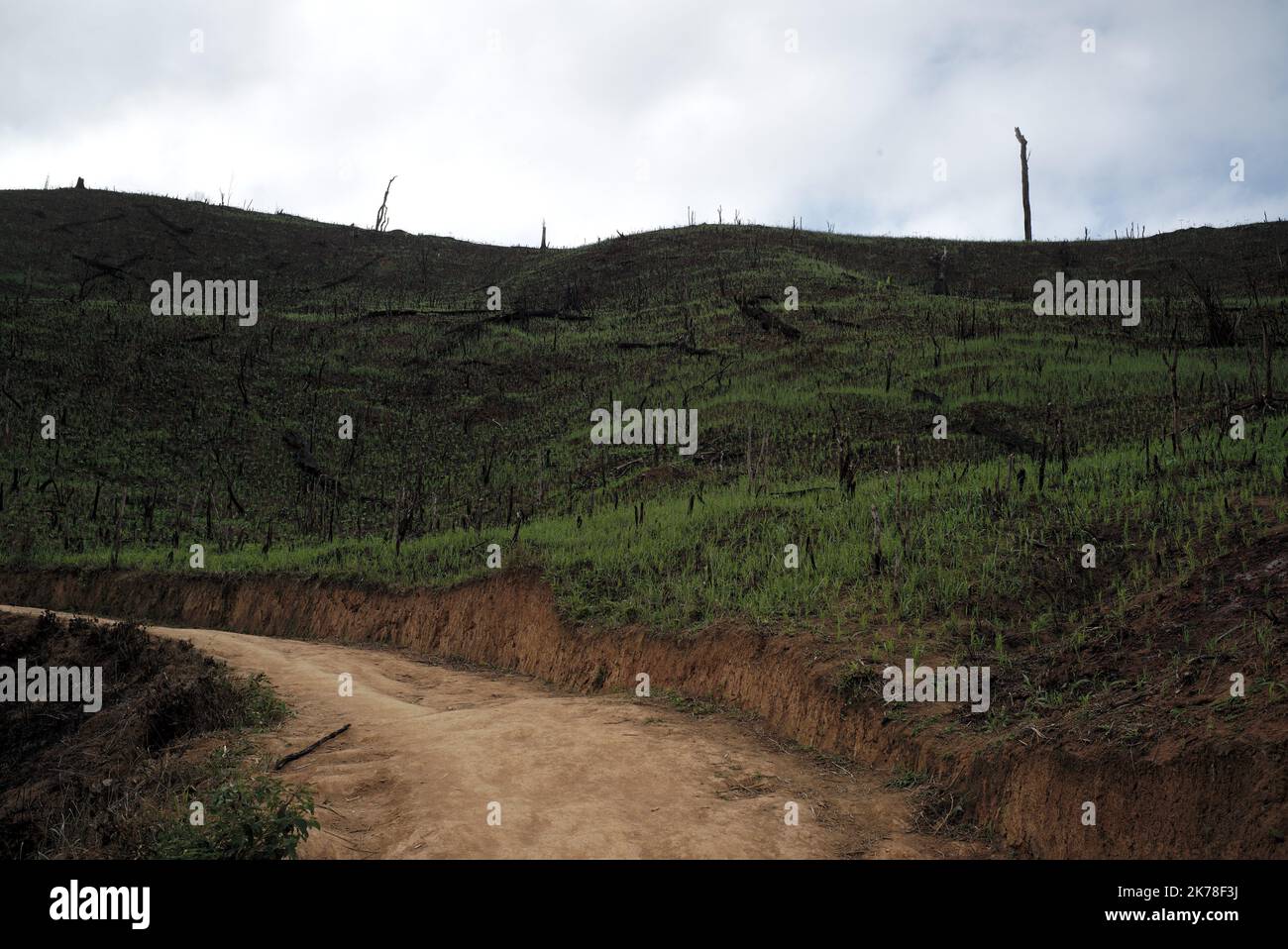 Culture sur brûlis hi-res stock photography and images - Alamy