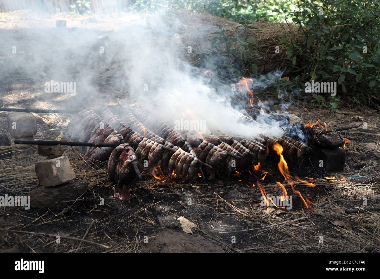 Corps de poissons hi-res stock photography and images - Alamy