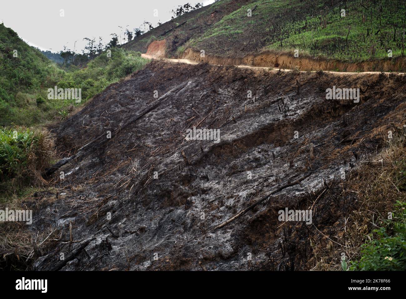 Culture sur brûlis hi-res stock photography and images - Alamy