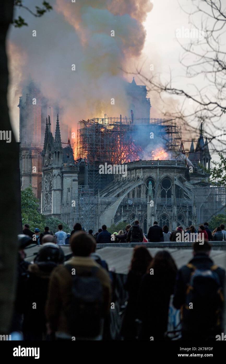 Notre-Dame cathedral burning before collapsing. A fire broke out at the ...