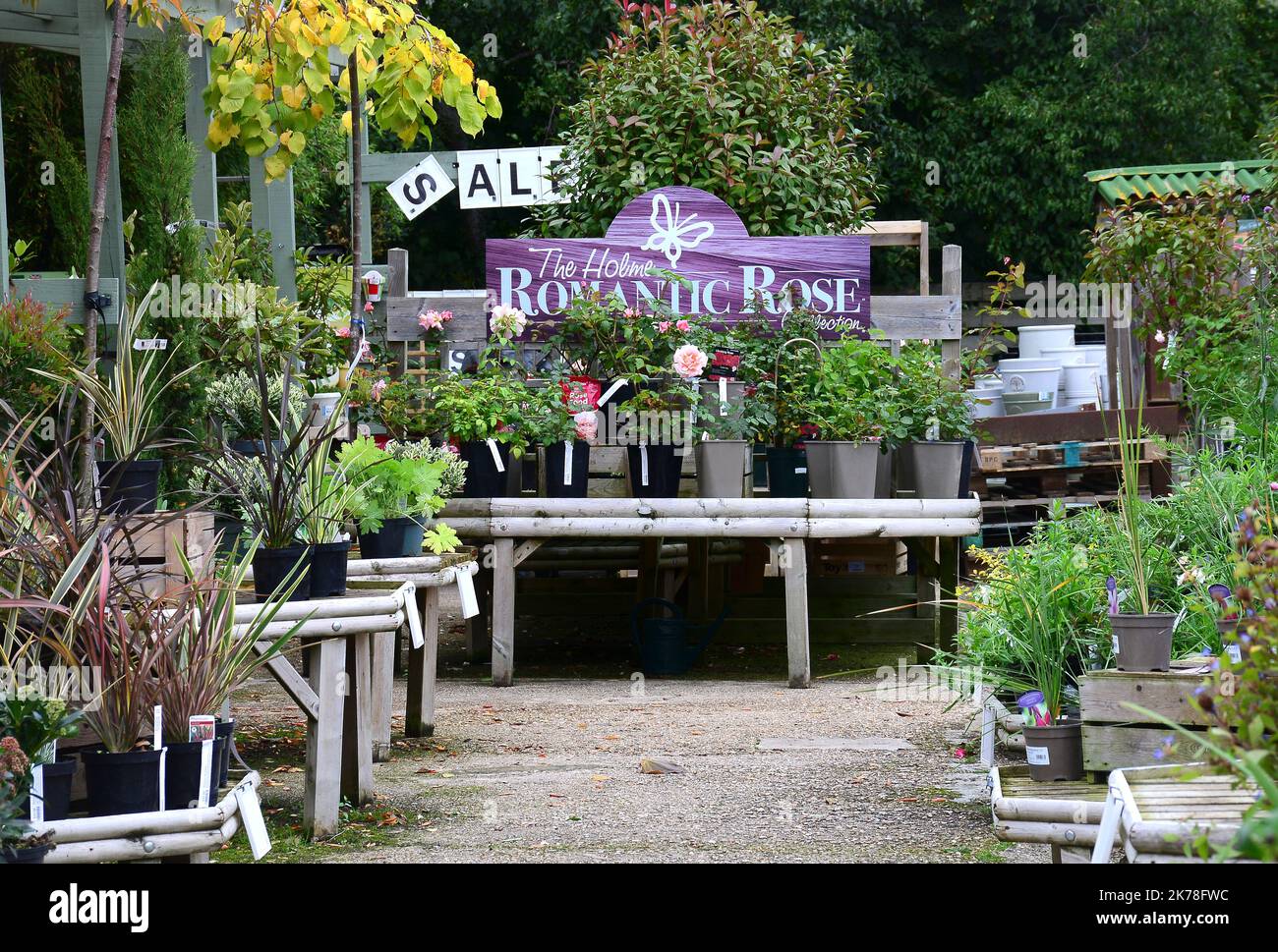Potted plant displays hi-res stock photography and images - Alamy