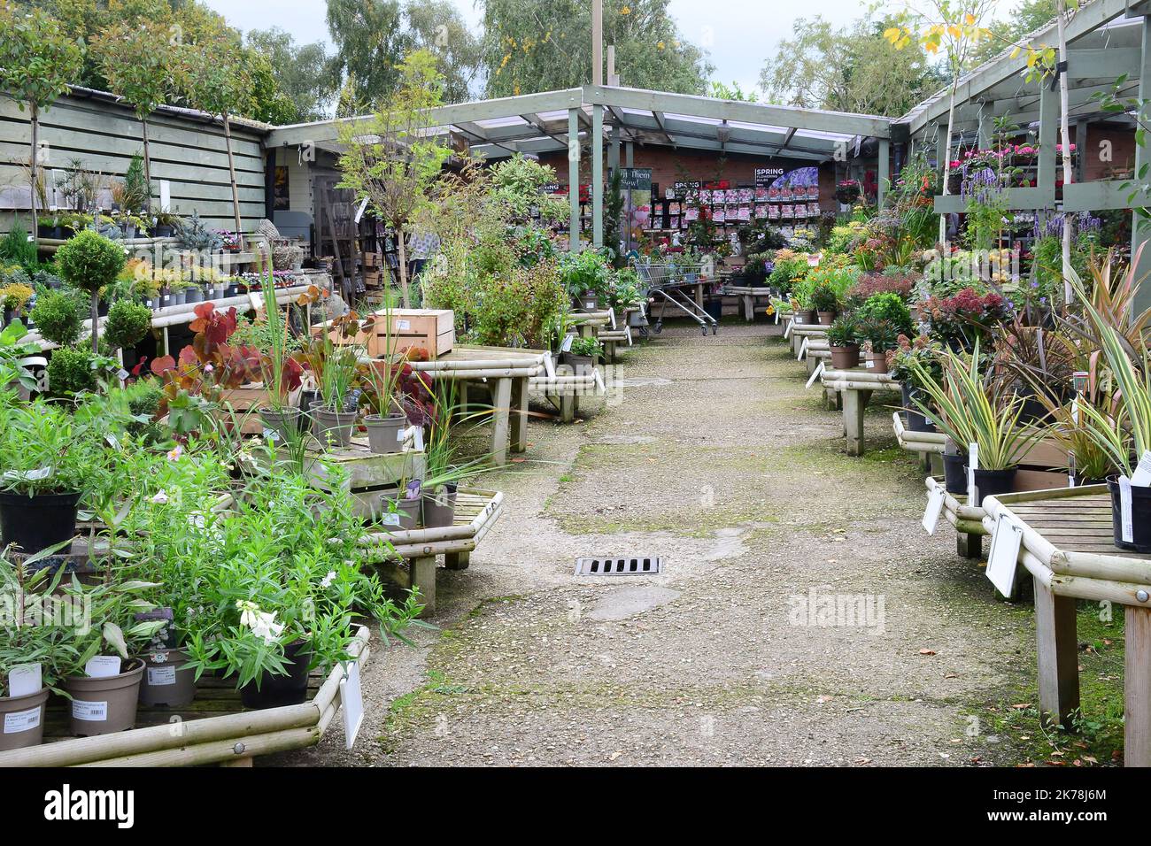 Potted plant displays hi-res stock photography and images - Alamy