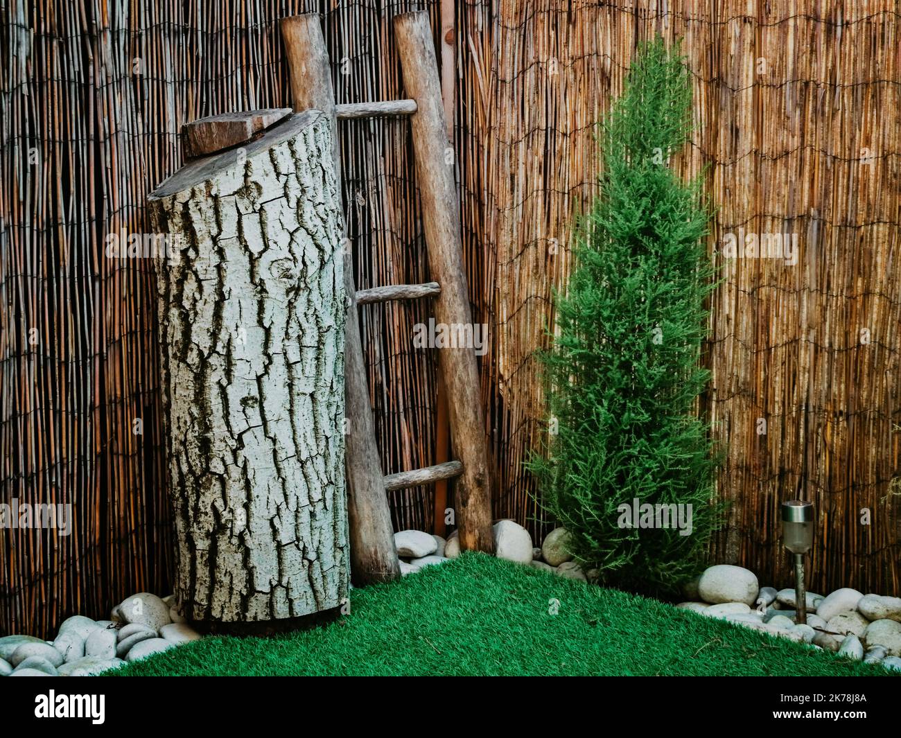 Walnut trunk, ladder and thuja tree in the backyard garden Stock Photo ...