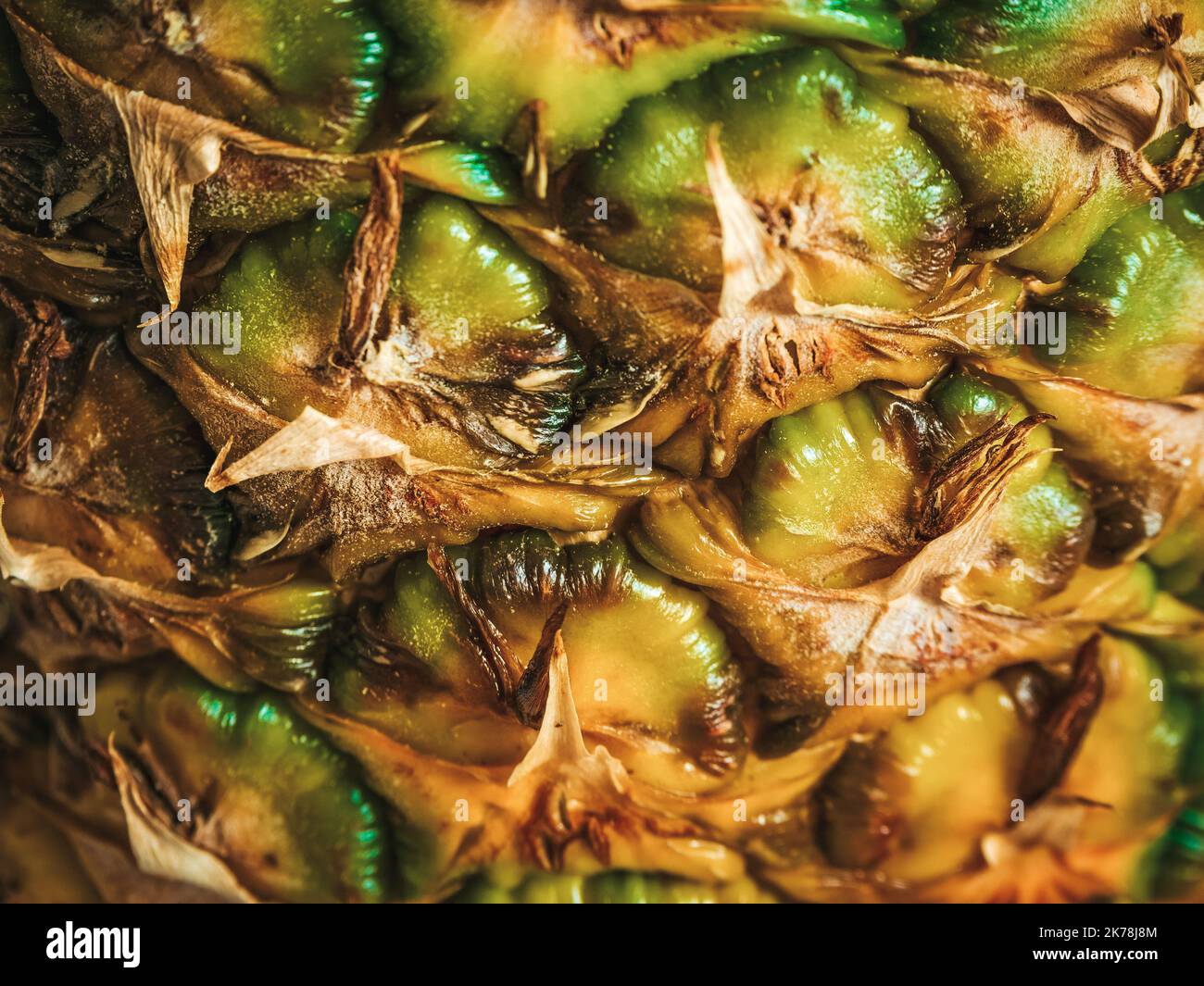 Close up of a pineapple peel Stock Photo - Alamy