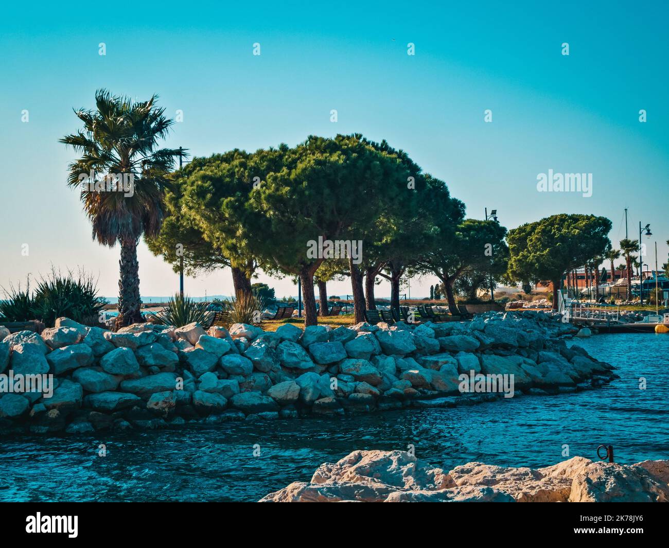 The entrance to the port by Albert Samson with palm trees Stock Photo ...