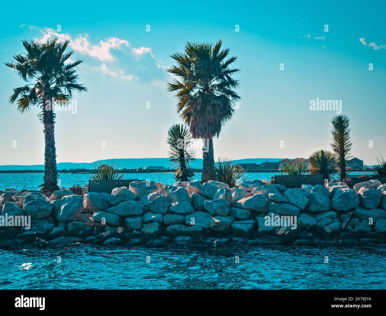 Albert samson hi-res stock photography and images - Alamy