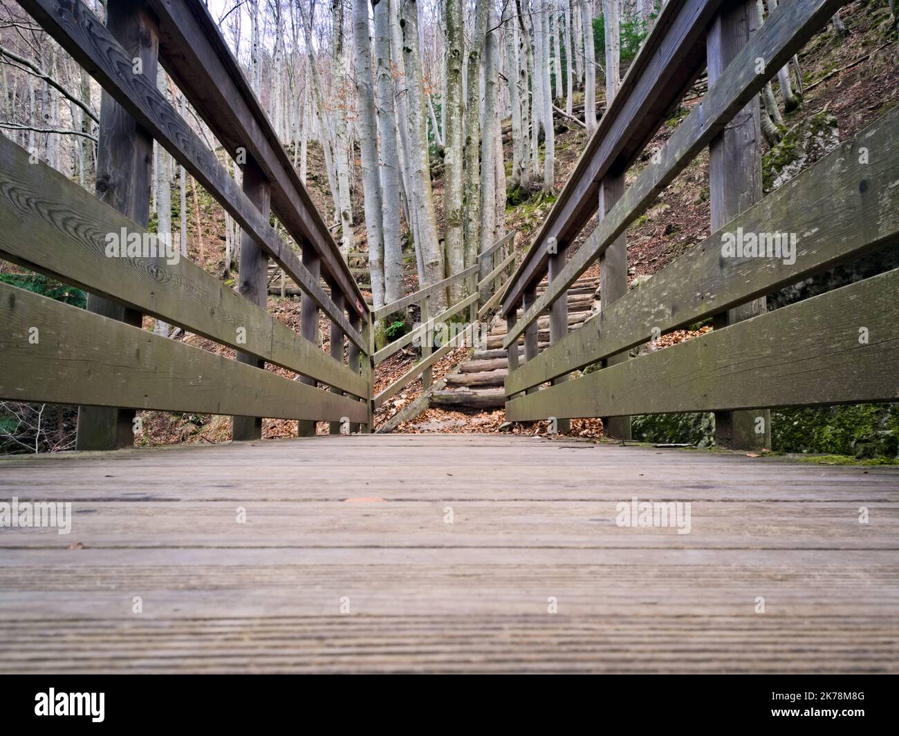 Over water observation deck hi-res stock photography and images - Alamy