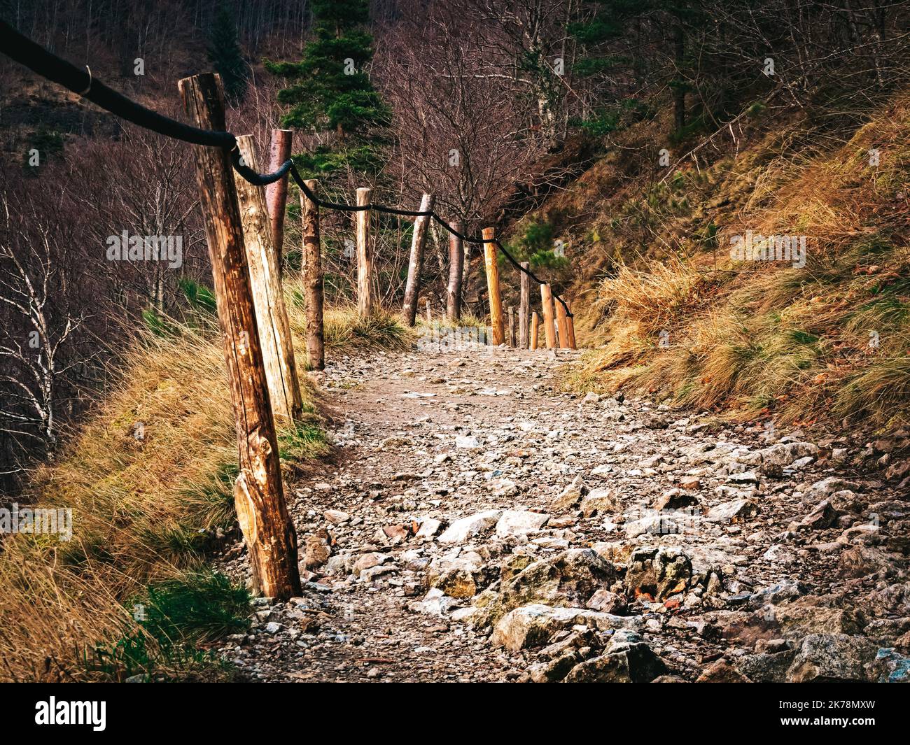 Mountain trail in the woods with a wooden railing on a rocky surface ...