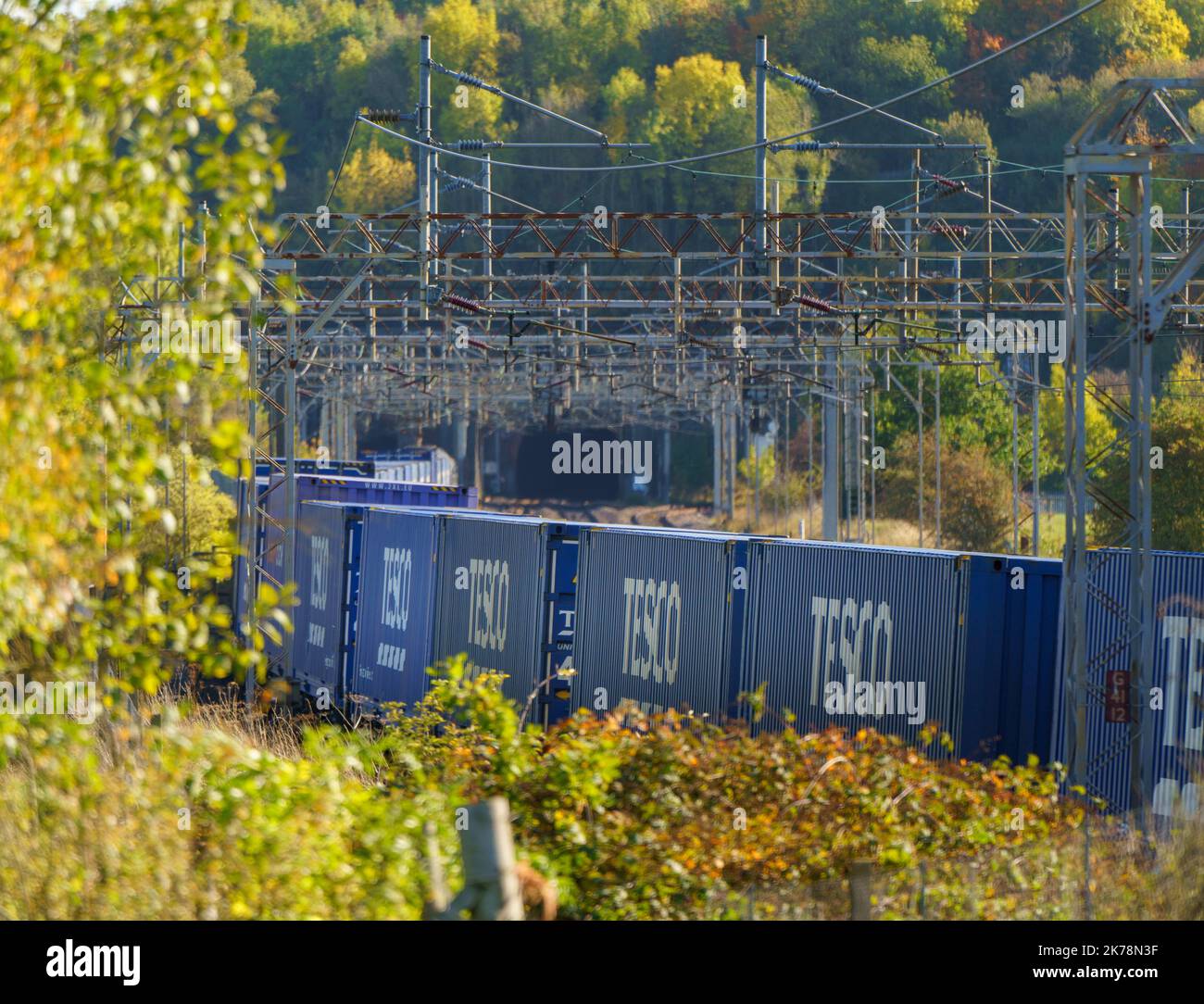 A freight train of Tesco containers Stock Photo - Alamy