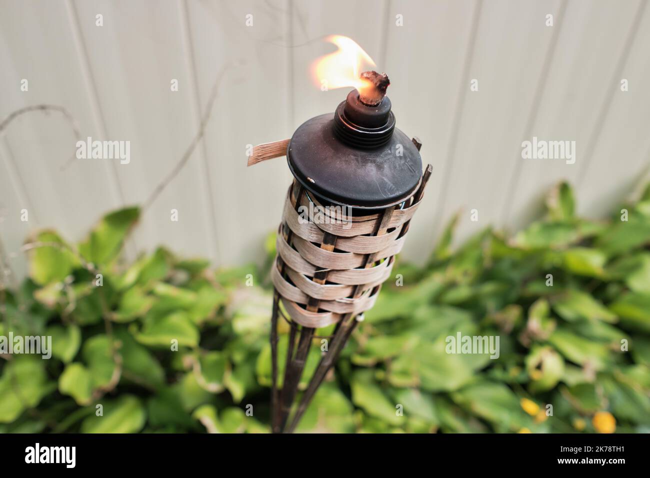 Insect repellent citranella oil torch is burning in the back yard set ...