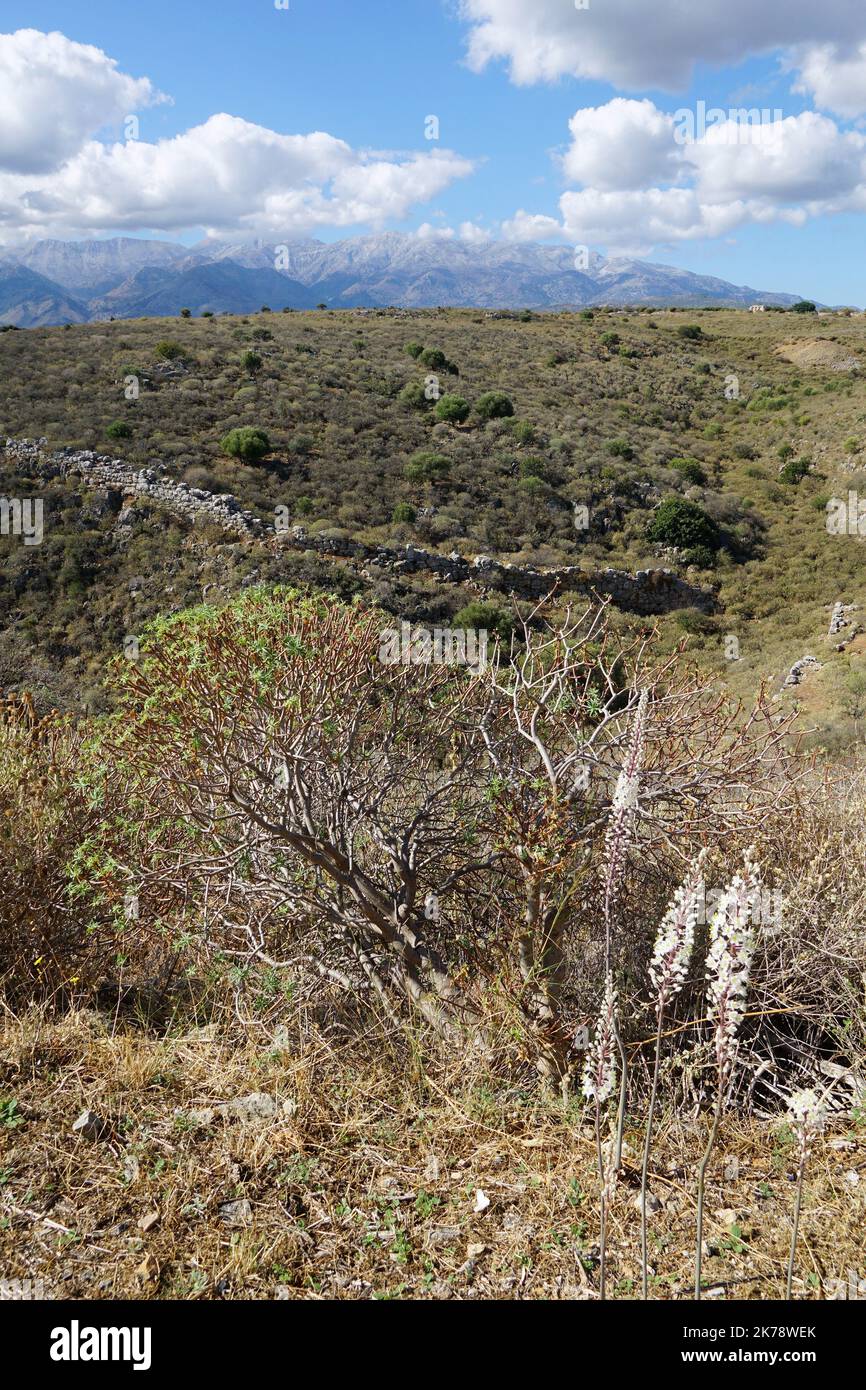 landscape near Aptera or Apteron, municipality of Akrotiri, Crete ...