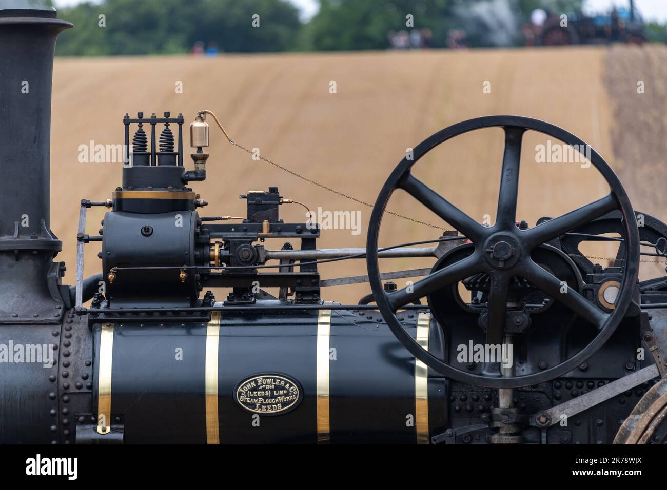Tarrant Hinton.Dorset.United Kingdom.August 25th 2022.Close up of an ...