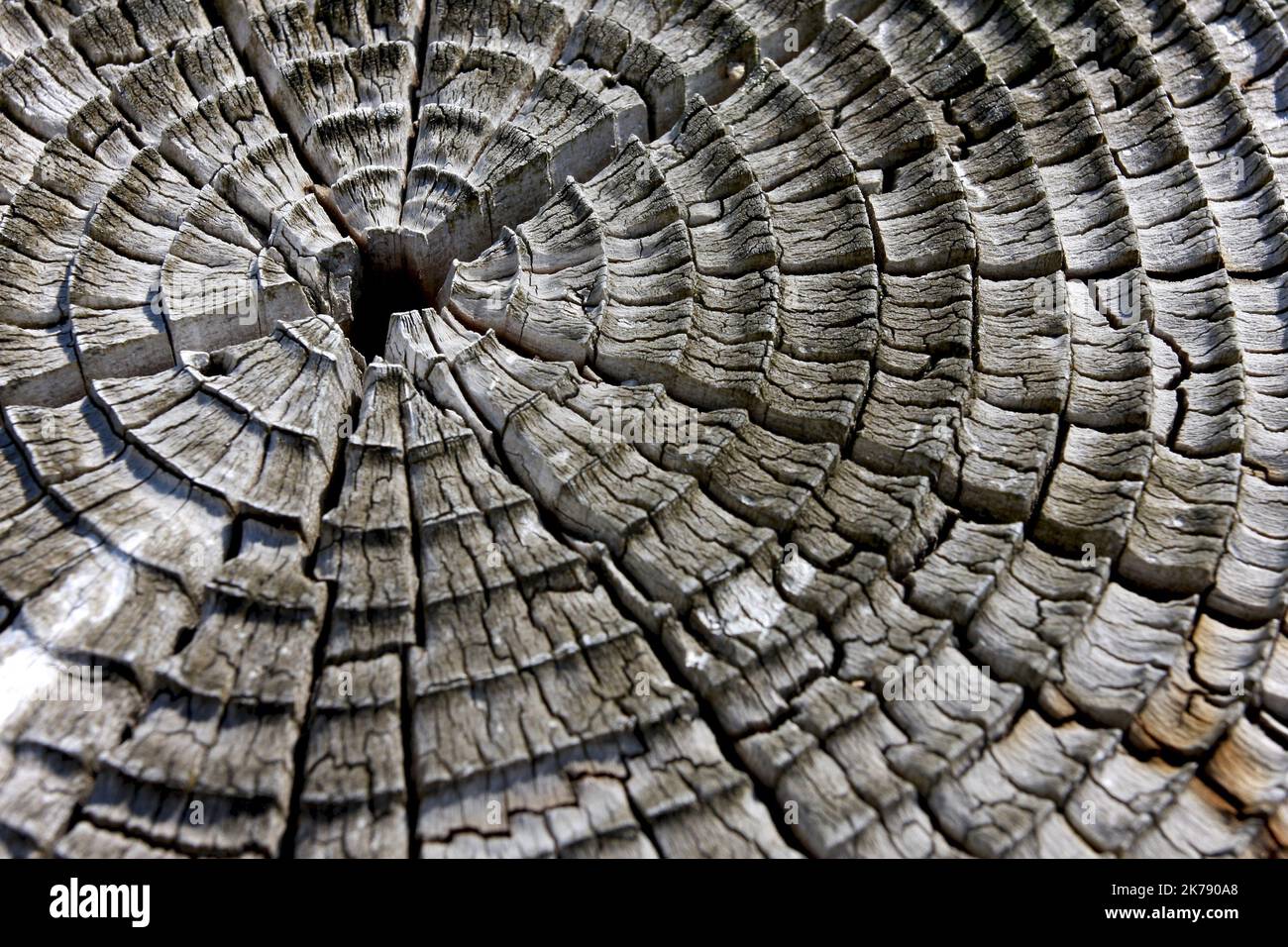 Pillar pier hi-res stock photography and images - Alamy