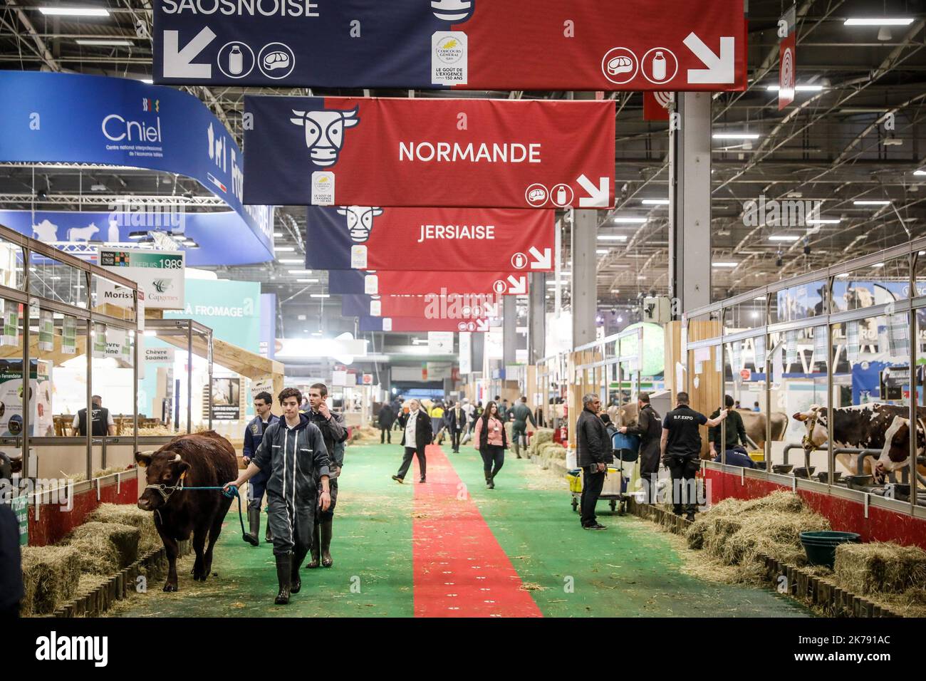 Views of the 57th International Agricultural Show in Paris Stock Photo ...